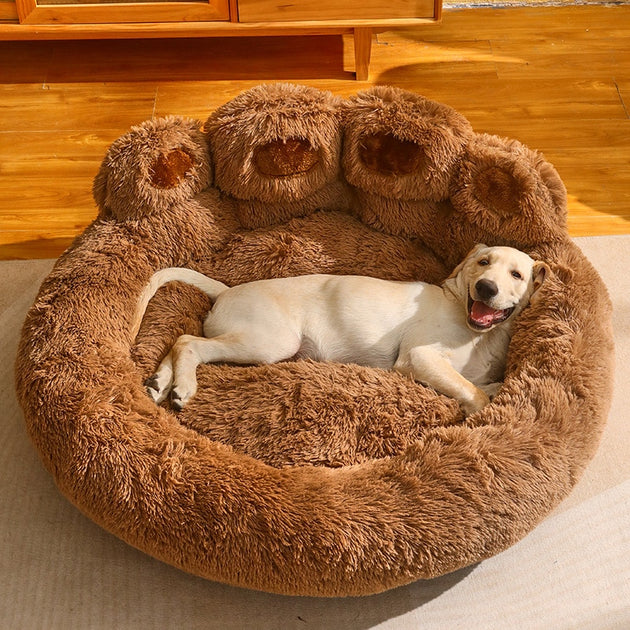 Real Cozy – Tagged "Real Cozy"– CozyPaw
